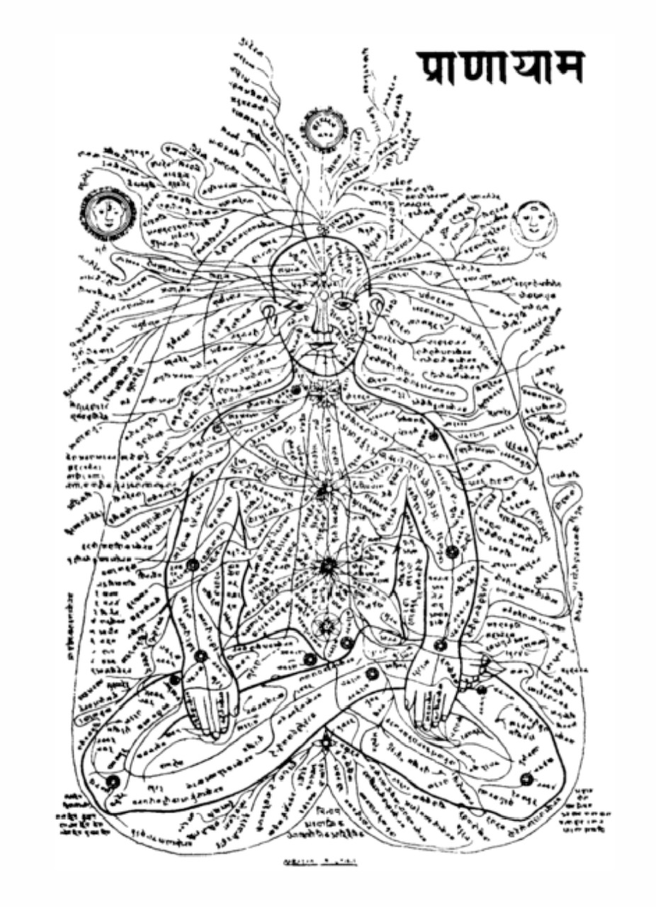 What is Prana? - Ishvara Yoga Byron Bay